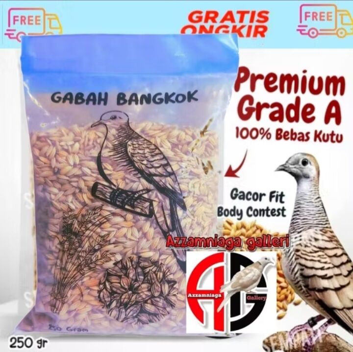 GABAH BANGKOK GABAH PERKUTUT BANGKOK 250 GR PAKAN BURUNG PERKUTUT ...