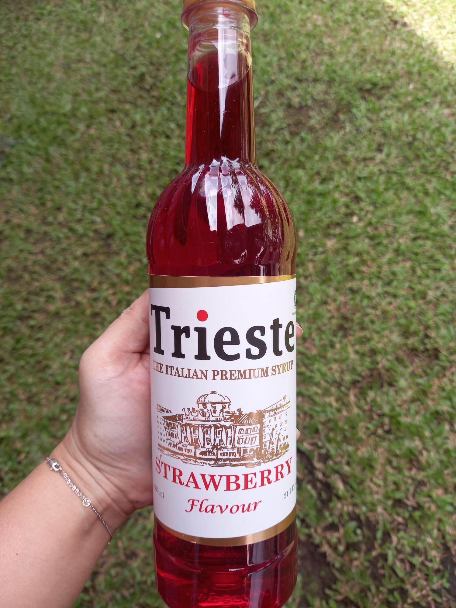 trieste syrup rasa strawberry 650ml | Lazada Indonesia