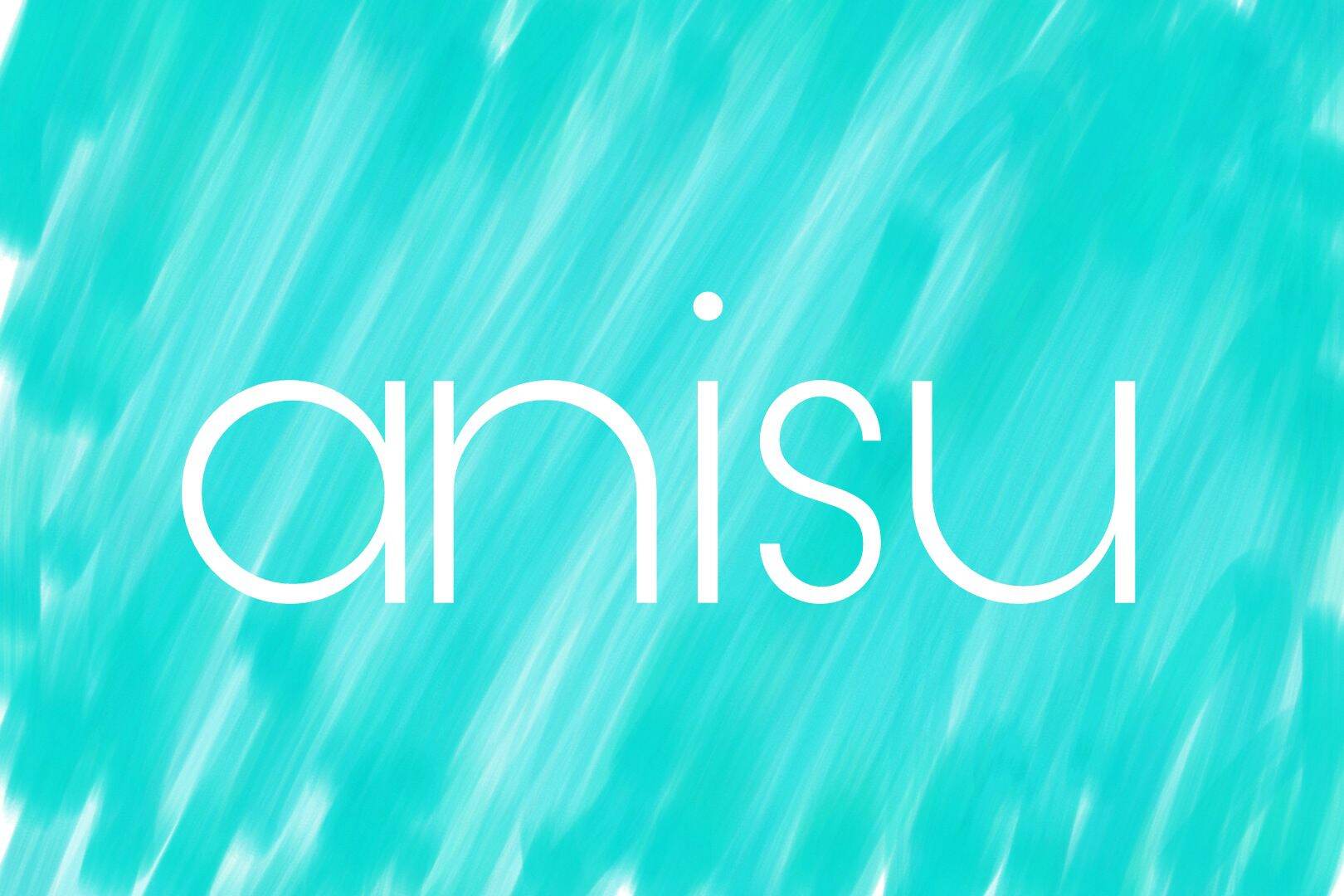 anisu Official Store di Indonesia, Online Shop 10 2024