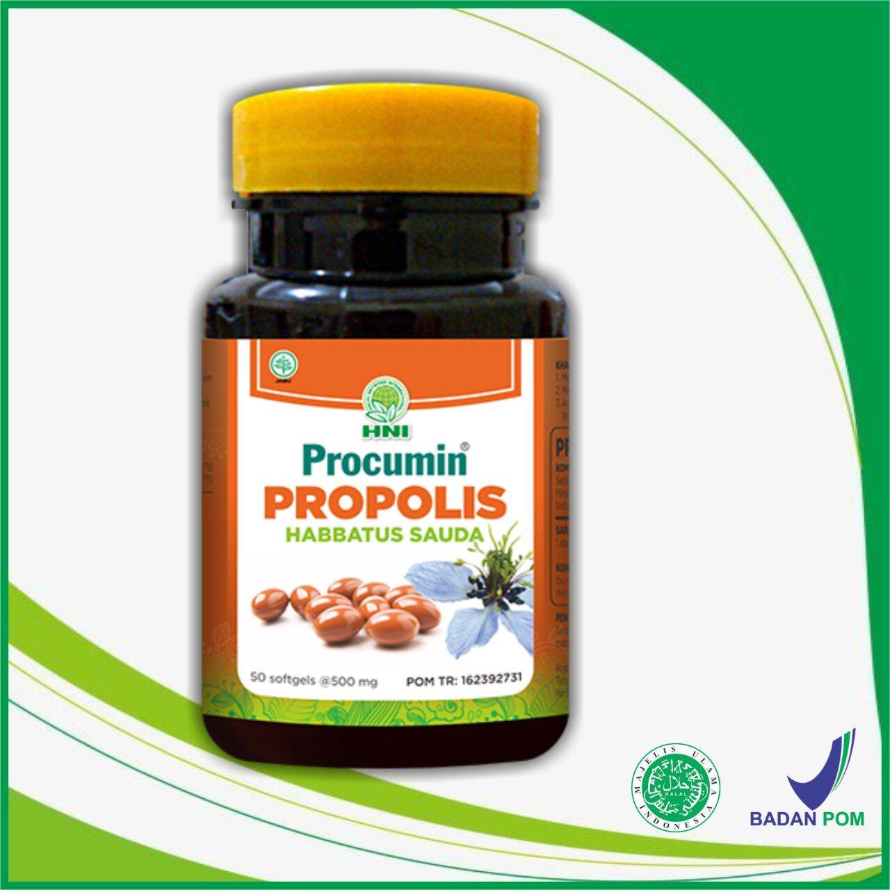 Procumin propolis Habatussauda hni hpai BPOM Bisa COD | Lazada Indonesia