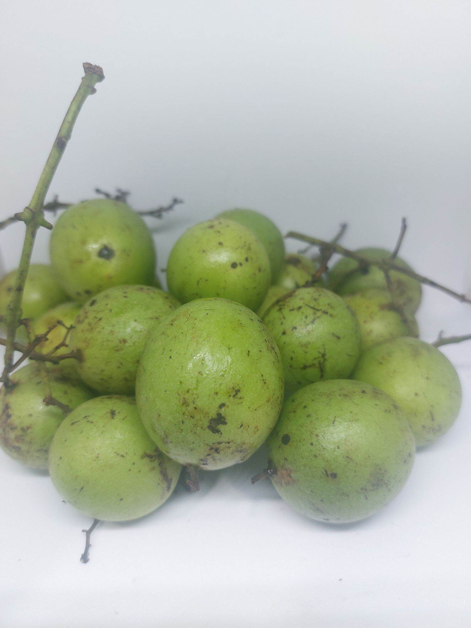 GANDARIA MUDA/BUAH JATAKE MUDA/BUAH LANGKA SEGAR | Lazada Indonesia