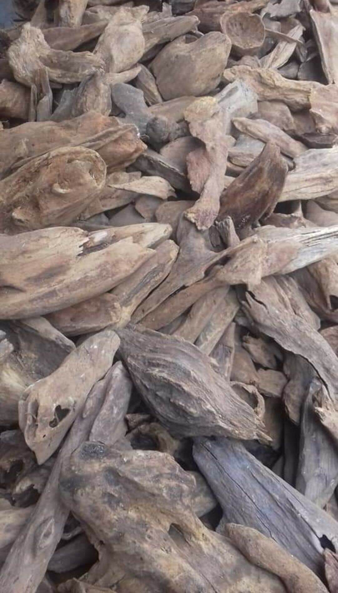 Kayu Gaharu Kalimantan asli alami GBB01 | Lazada Indonesia