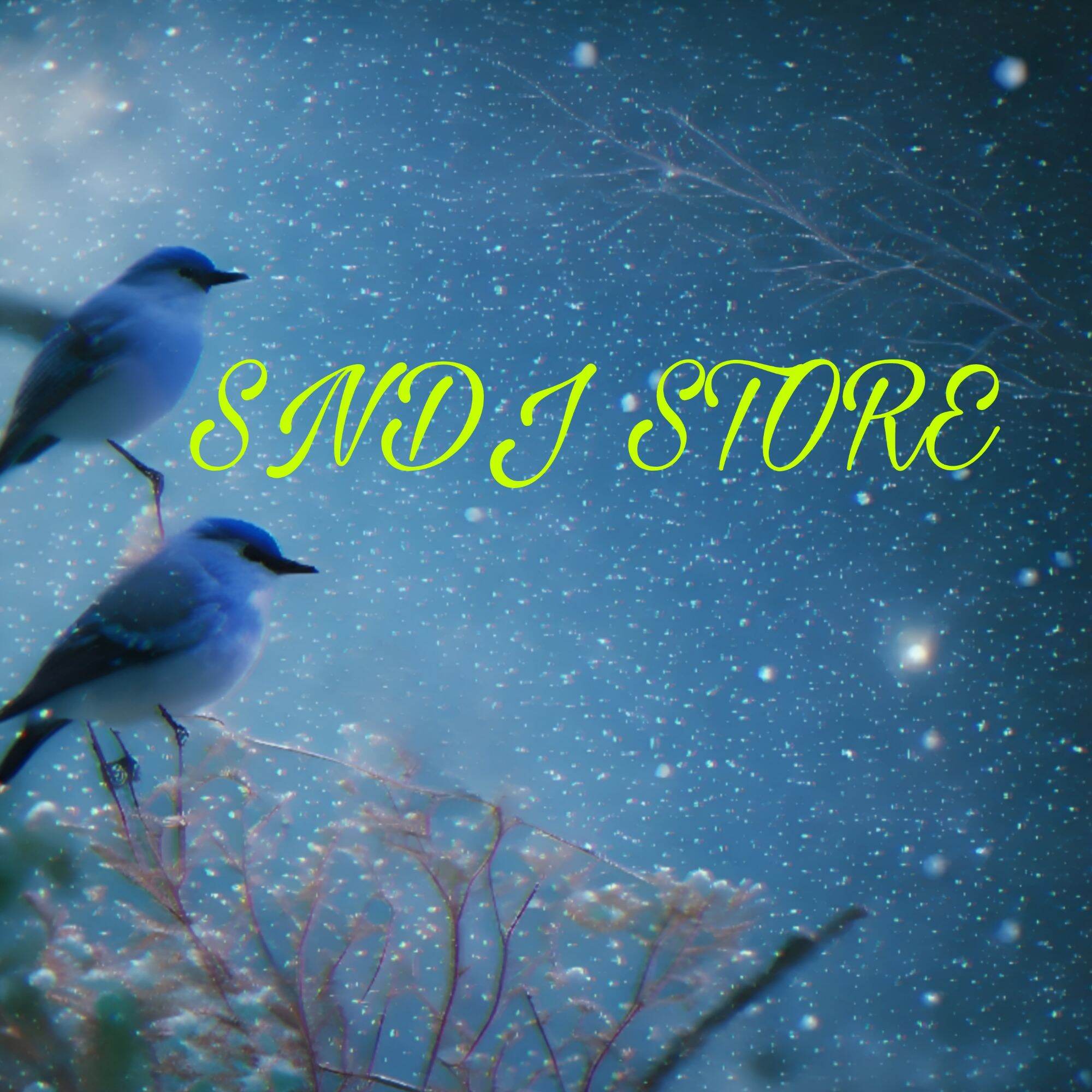 SNDJ STORE Official Store di Indonesia, Online Shop 09 2024