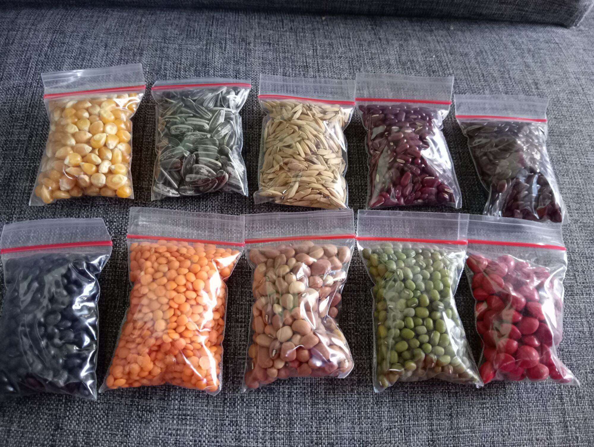 [Kemasan sedang]10 JENIS BIJI KERAJINAN-PRAKARYA | Lazada Indonesia