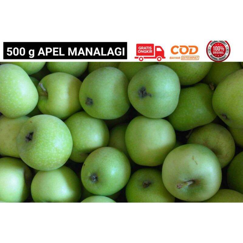 buah apel manalagi// apel khas malang 500 gr | Lazada Indonesia