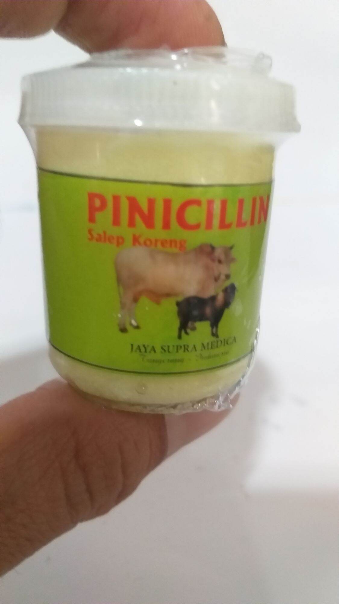obat luka sapi salep koreng sapi salep koreng hewan sapi salep luka ...