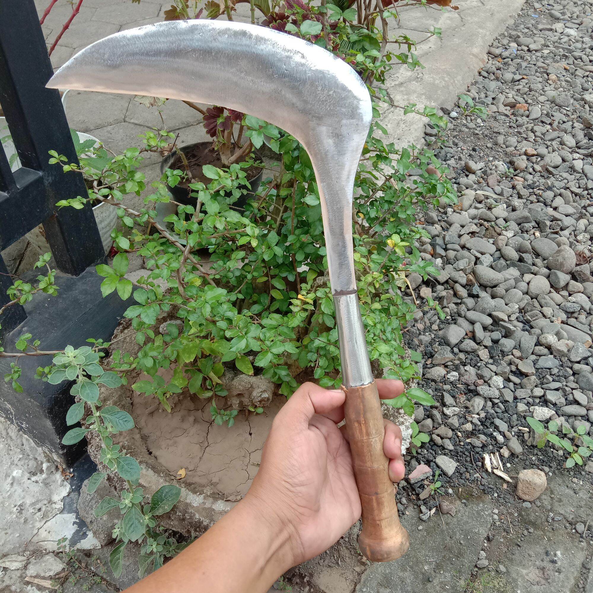 ARIT RUMPUT MULTIFUNGSI | Lazada Indonesia