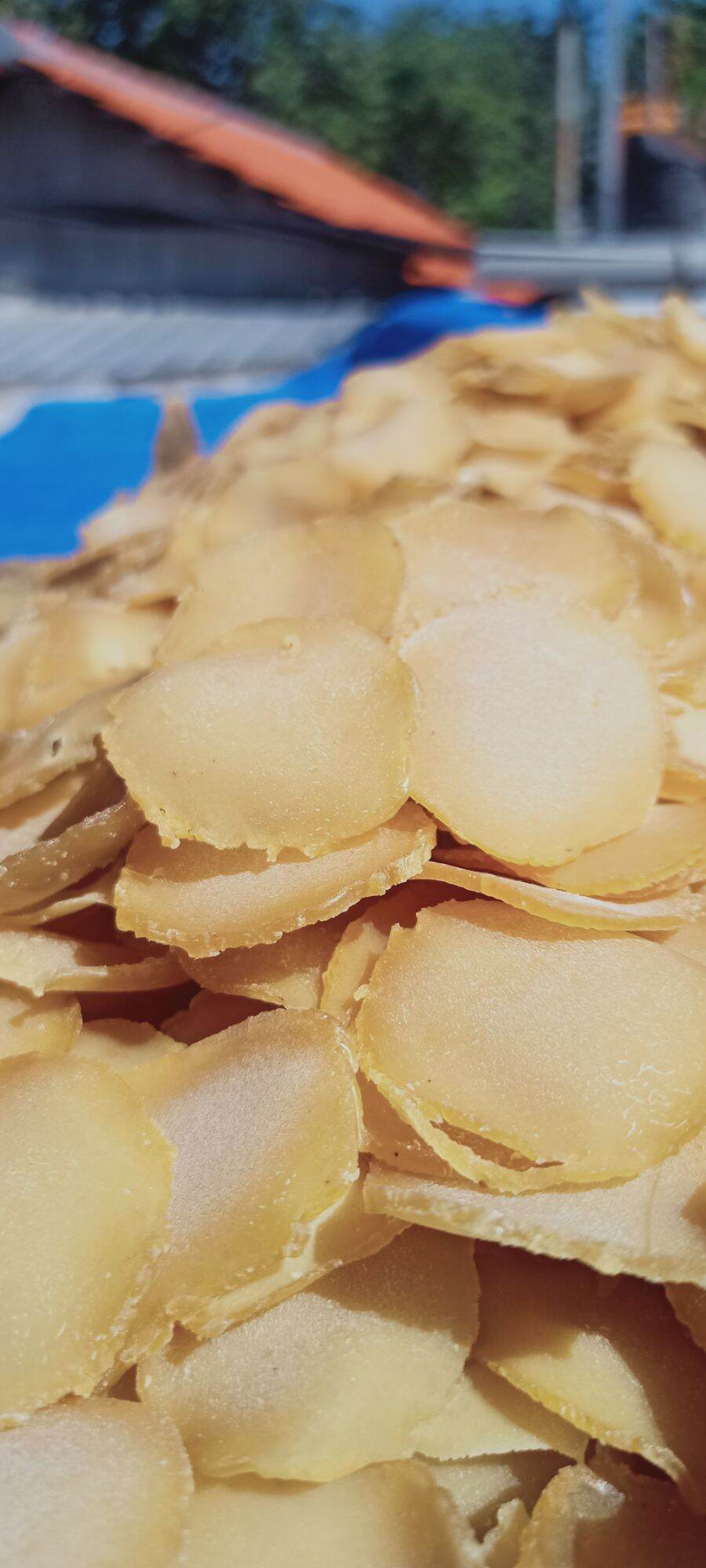 kerupuk Puli rasa bawang khas madura | Lazada Indonesia