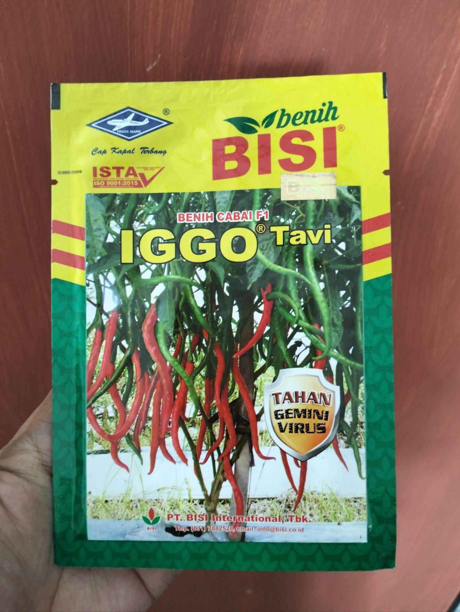 Benih Cabe Keriting IGGO Tavi isi 10 Gram Tangguh dan Tahan Virus | Lazada Indonesia