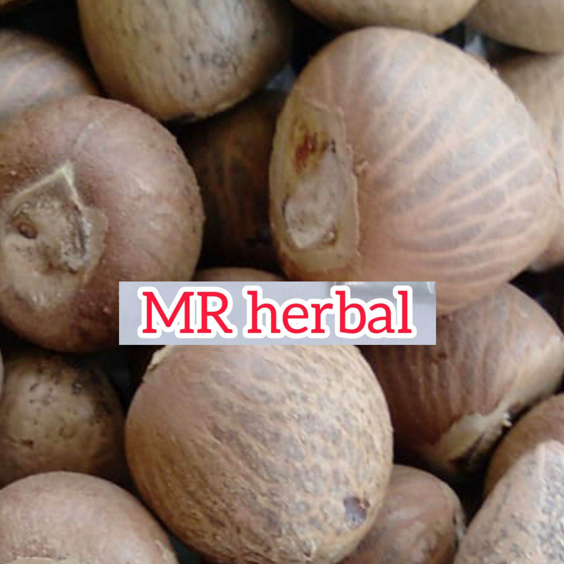 Biji buah pinang tua kering atau biji buah jambe per 500 gram | Lazada ...
