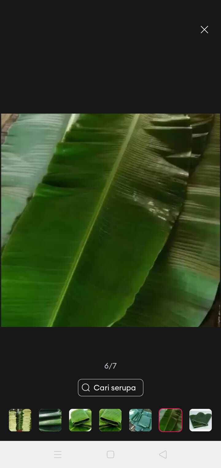 Daun pisang per kg | Lazada Indonesia