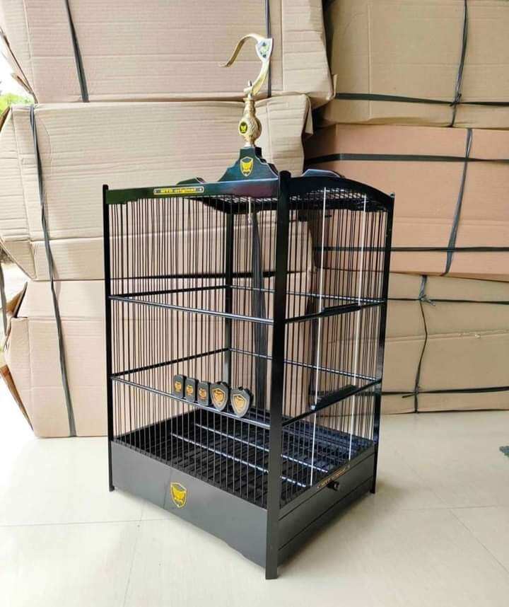 Sangkar Diamond ambrukan mentahan plus alas tanam mdf | Lazada Indonesia