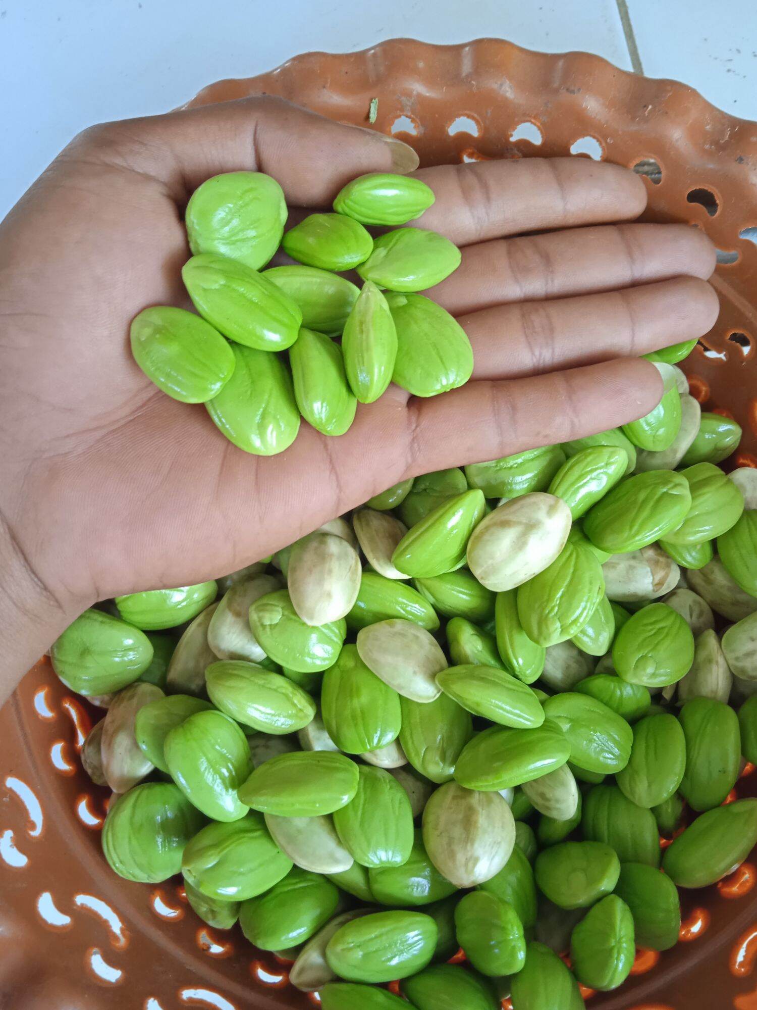 Mata petai pete super pete kupas tanpa ulat lalapan segar | Lazada ...