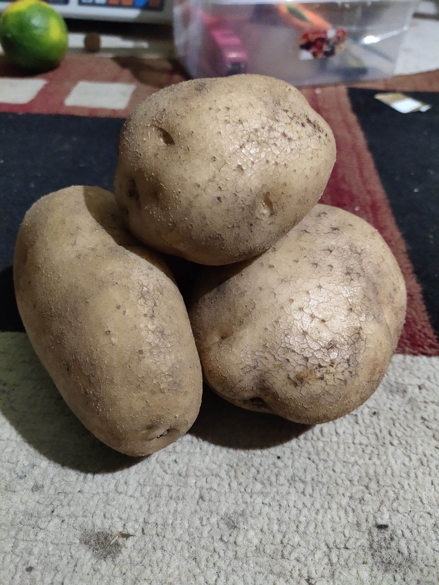 KENTANG JUMBO 1KG | Lazada Indonesia