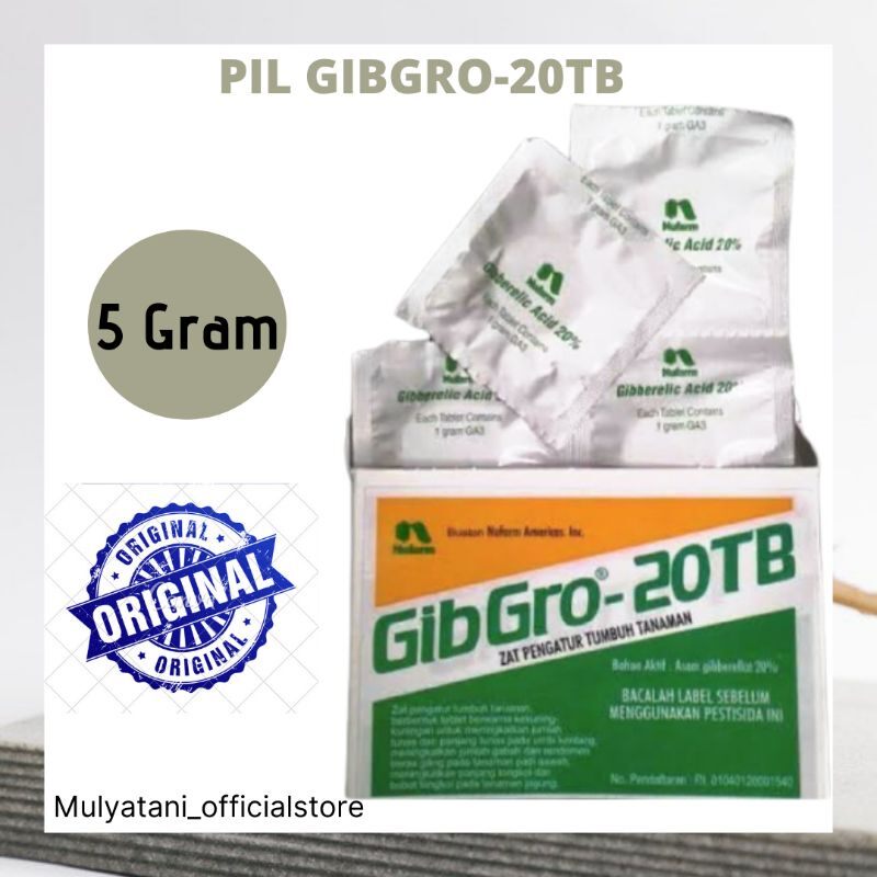 Pil GibGro -20TB 5 Gram Original Kemasan Pabrik | Lazada Indonesia