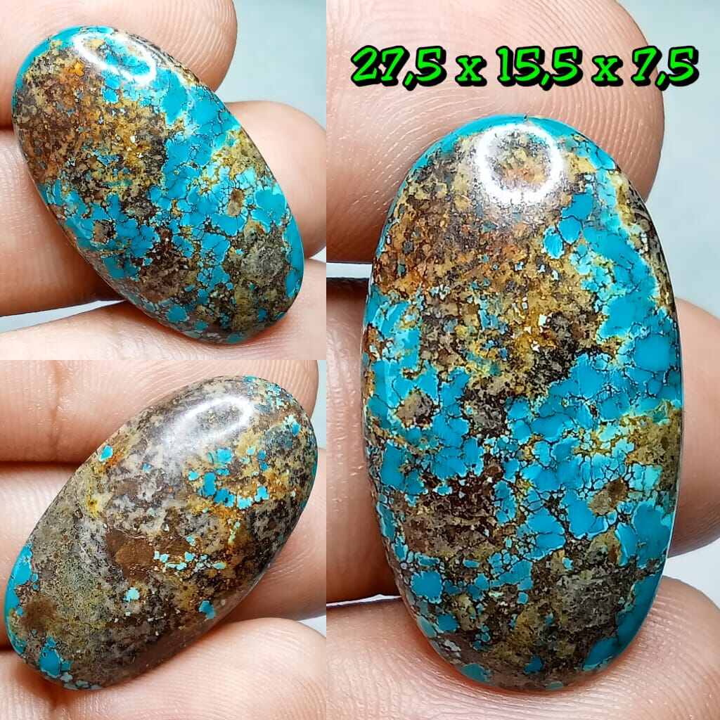 PIRUS PERSIA %asli | Lazada Indonesia