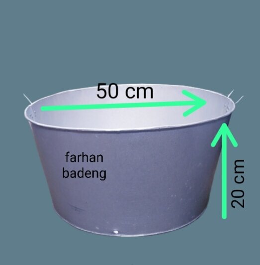 badeng pindang galvalun 30 kg | Lazada Indonesia