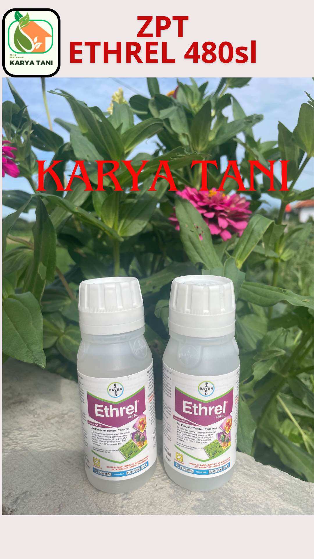 ETHREL 480sl pematang buah zat pengatur tumbuh tanaman isi 100 ml ...