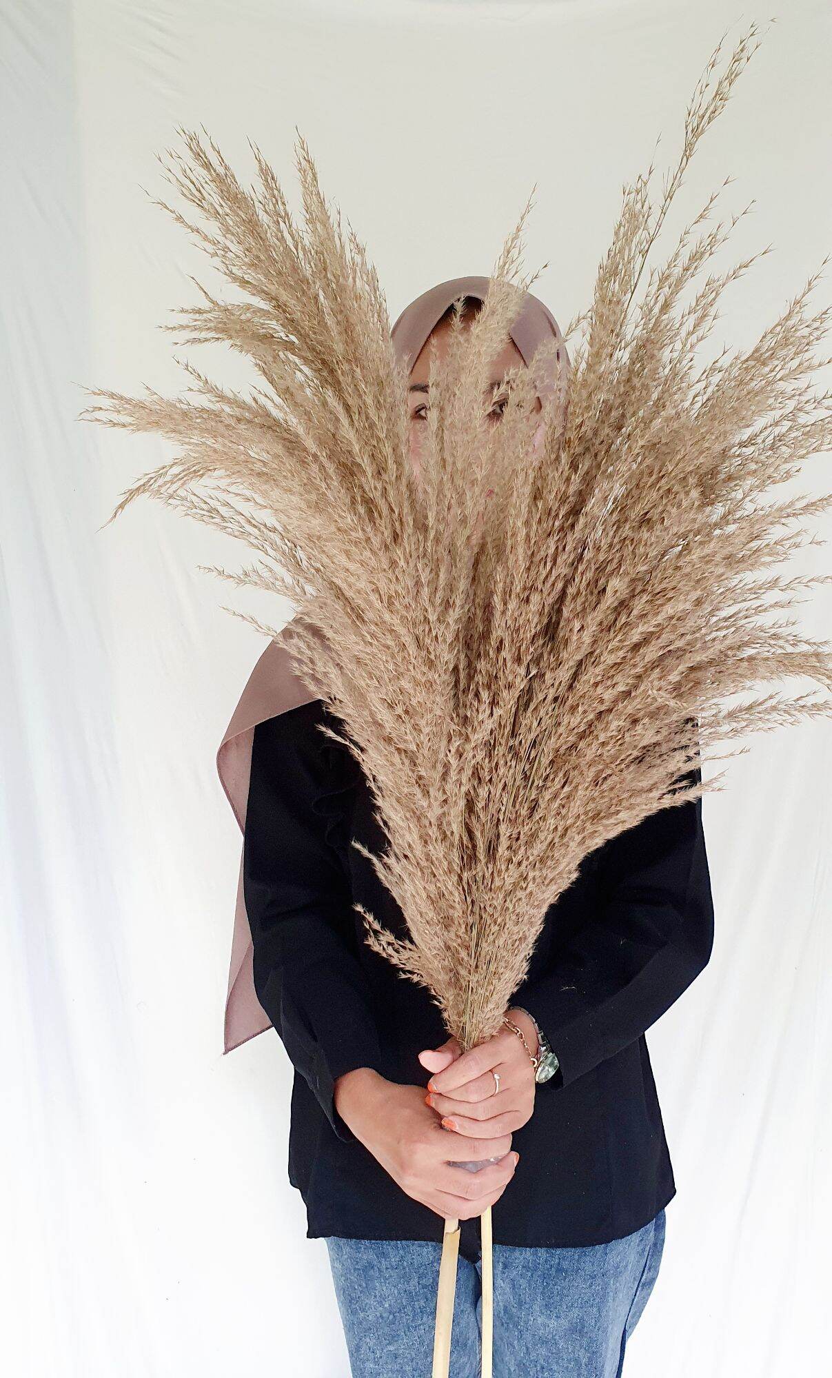 pampas kering dekorasi pampas kering | Lazada Indonesia