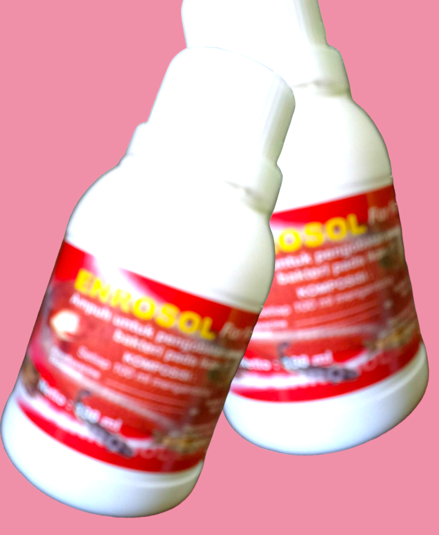 Obat Ikan Lele Mas Patin nila ikan hias ENROSOL For Fish 100 ml ...