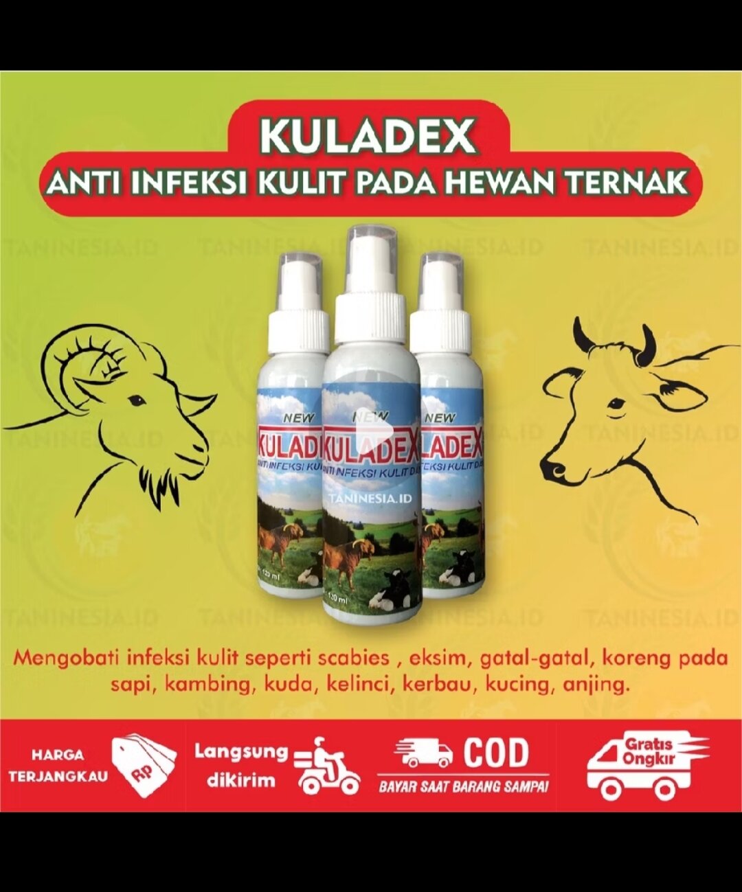 kuladex obat koreng sapi spray anti luka lalat hewan ternak sapi kerbau ...