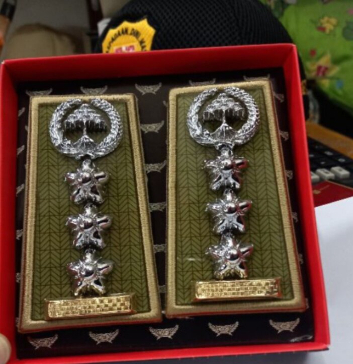 tanda pangkat ASN/PNS golongan 2D | Lazada Indonesia