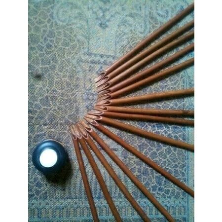 batang paku Anam resam pena kaligerapi panjang 50 cm/10 batang | Lazada ...