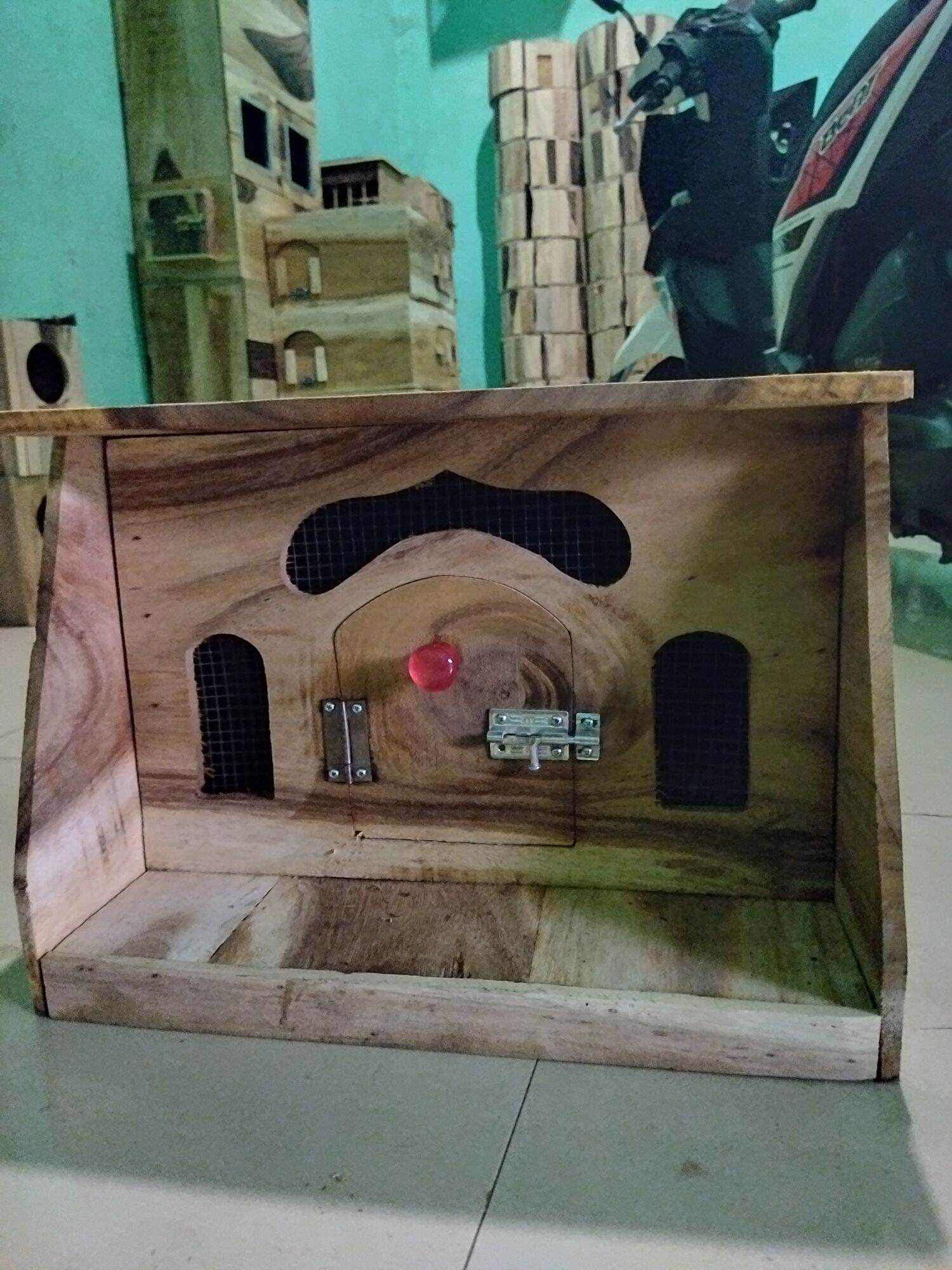 gupon merpati kayu trembesi | Lazada Indonesia