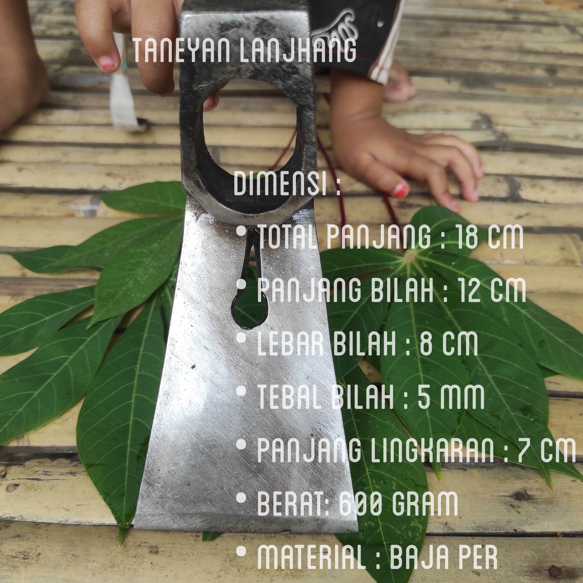 Petel Tukang Kayu Lubang Bundar Ukuran 18 cm / Alat Pertukangan Patel ...