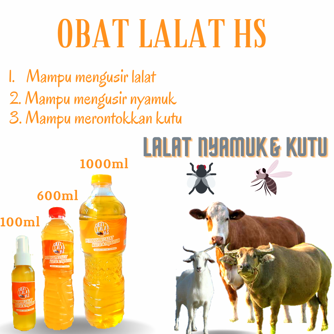 Obat lalat untuk sapi obat pembasmi lalat pada sapi kambing domba ...