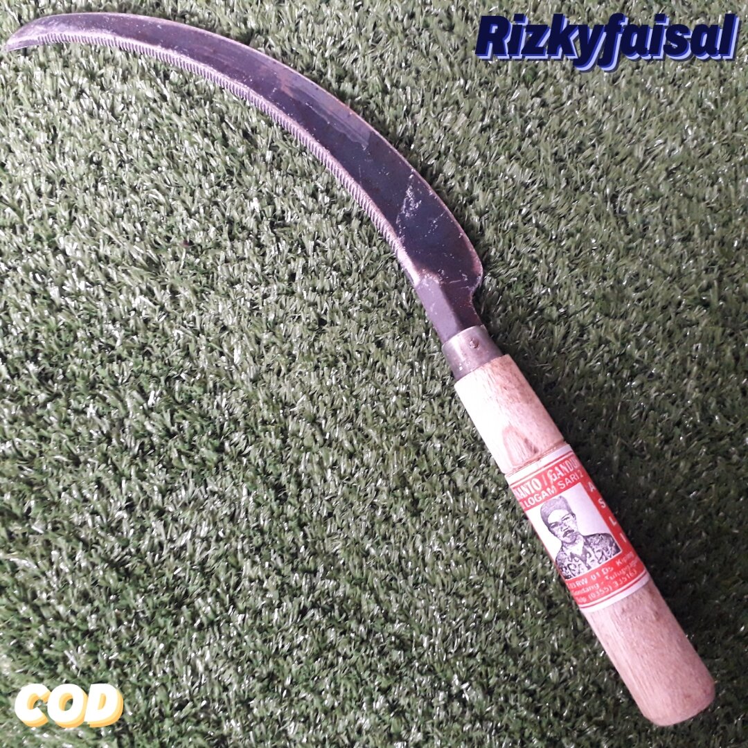 kored rumput atau arit padi mini model gergaji Sabit Padi | Lazada ...