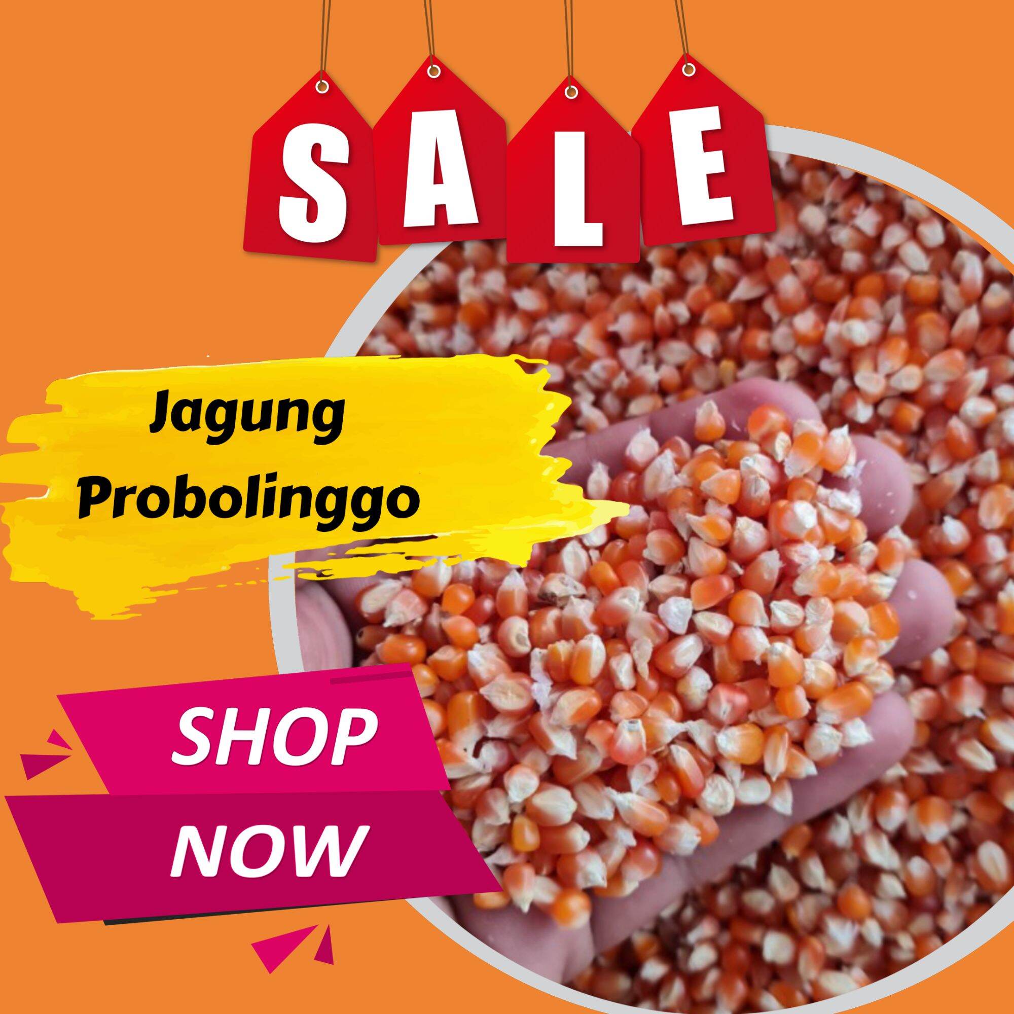 Jagung Pakan Ternak 450 Gram / Unggas | Gratis Packing Aman | Lazada Indonesia