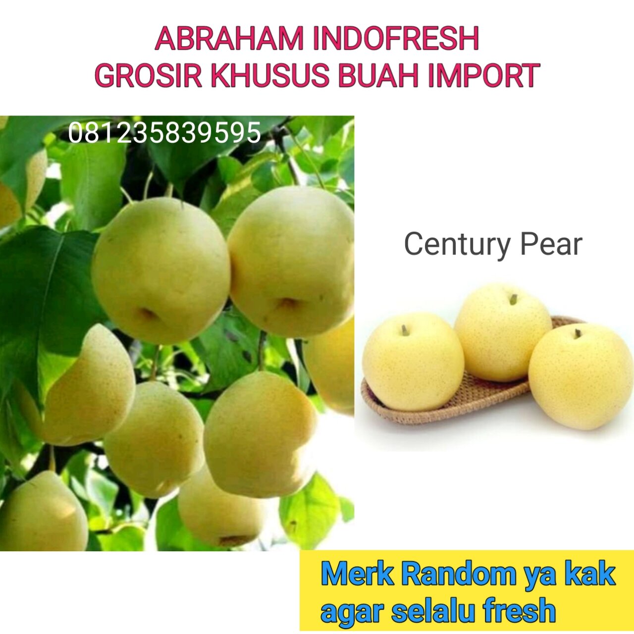 pear century 1 kg 1000grm ukuran 60 buah segar abraham indofresh grosir ...