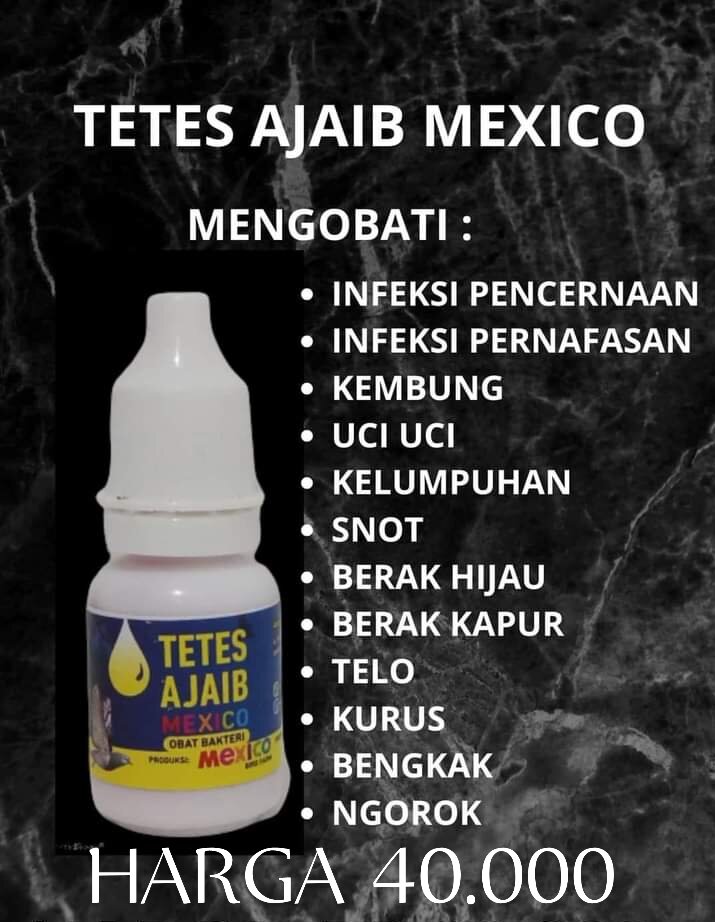 tetes ajaib Mexico/ tetes ajaib/ jamu merpati tetes ajaib | Lazada ...