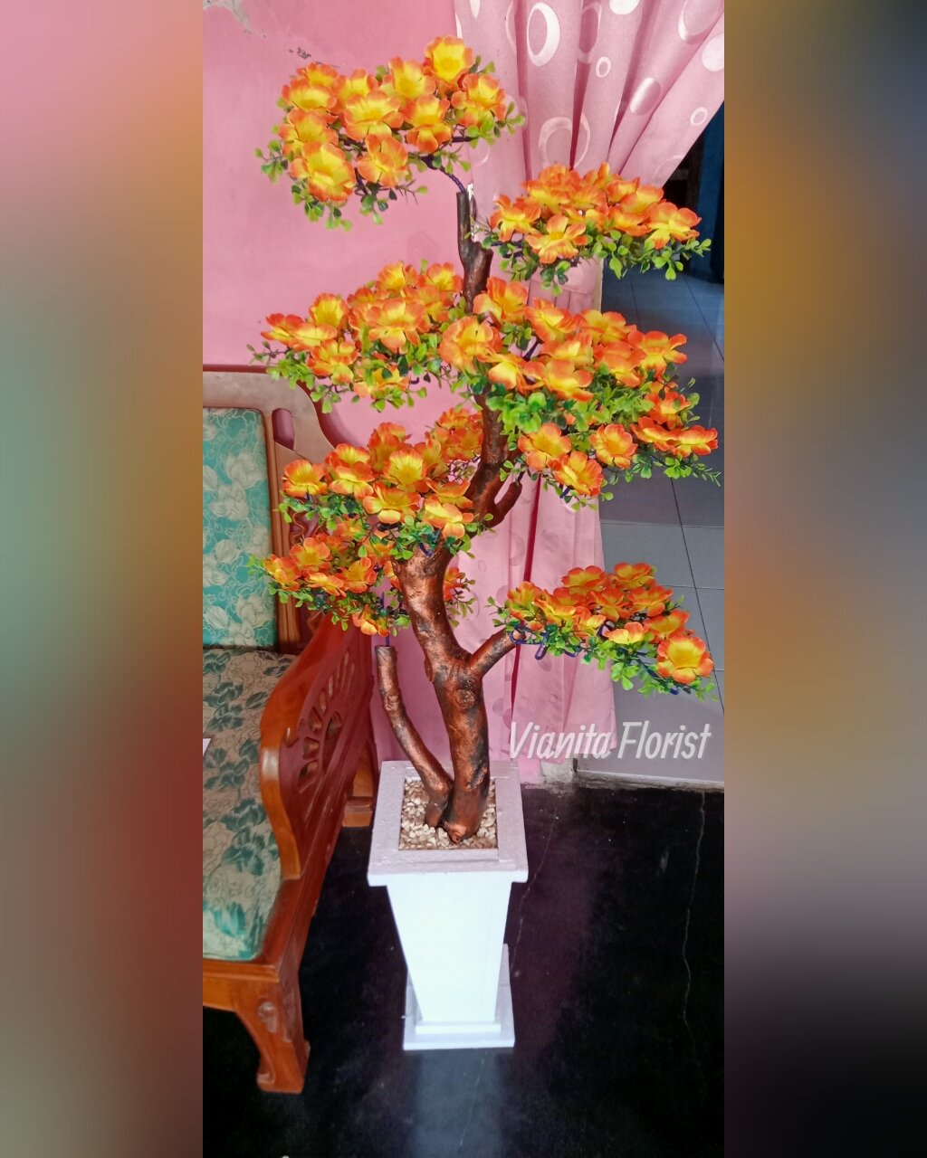 Tanaman Sudut Ruangan 140 cm || Semanggi Oren Pot Putih | Lazada Indonesia