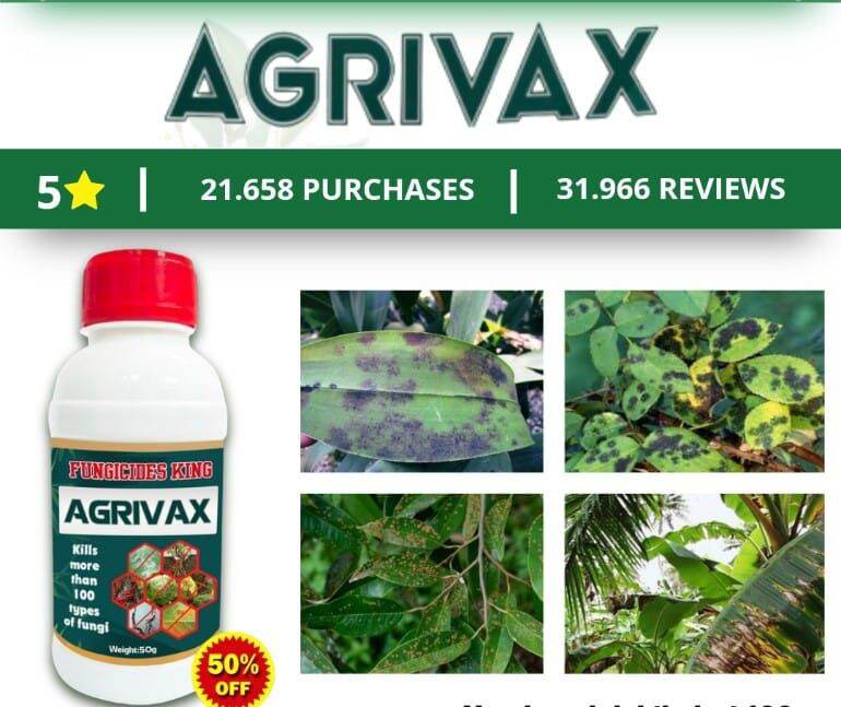 Shop online with AGRIVAX Fungicides King now! Visit AGRIVAX Fungicides ...