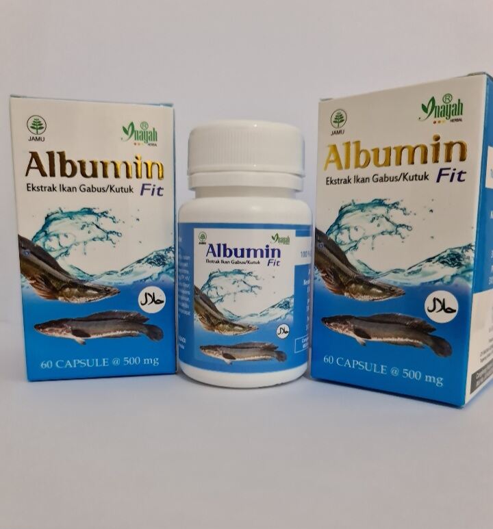 Albumin Fit Inayah Ekstrak Ikan gabus ORIGINAL | Lazada Indonesia