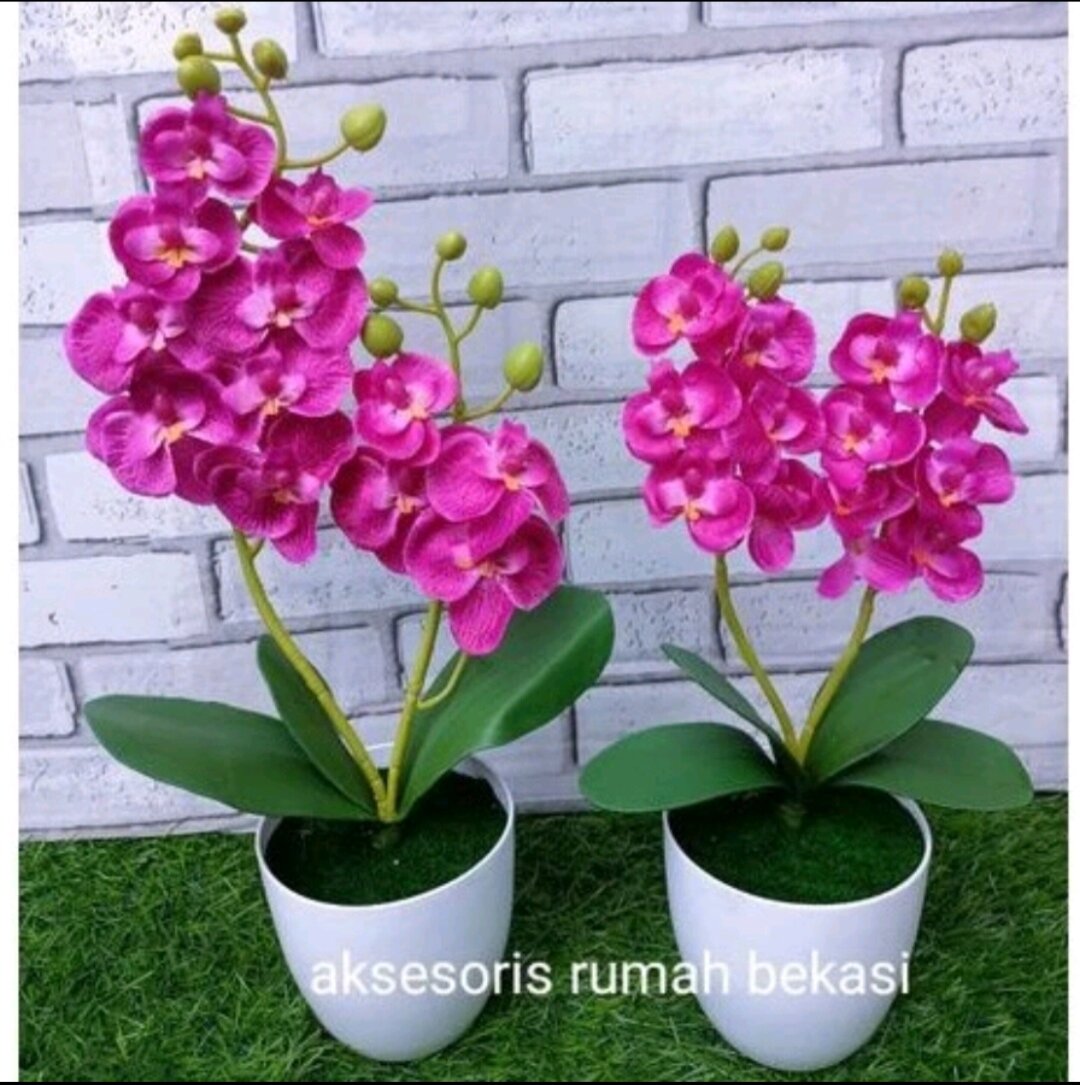 Bunga anggrek artificial 2 cabang dengan pot bulat lumut | Lazada Indonesia