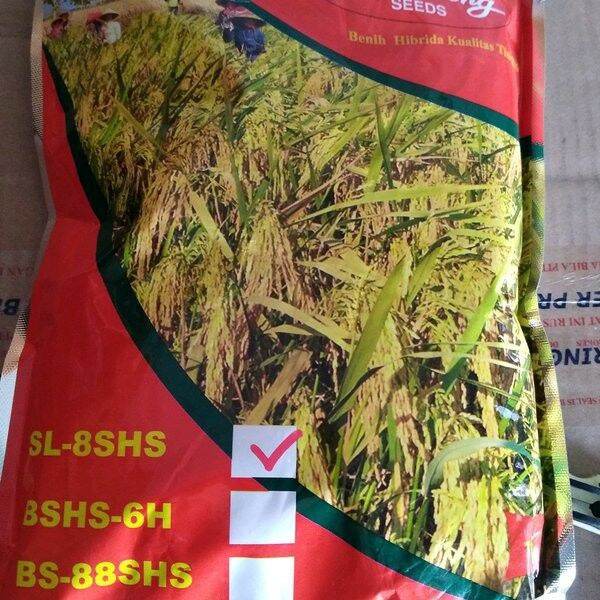 benih padi hibrida SL8SHS Sterling 1 kg | Lazada Indonesia
