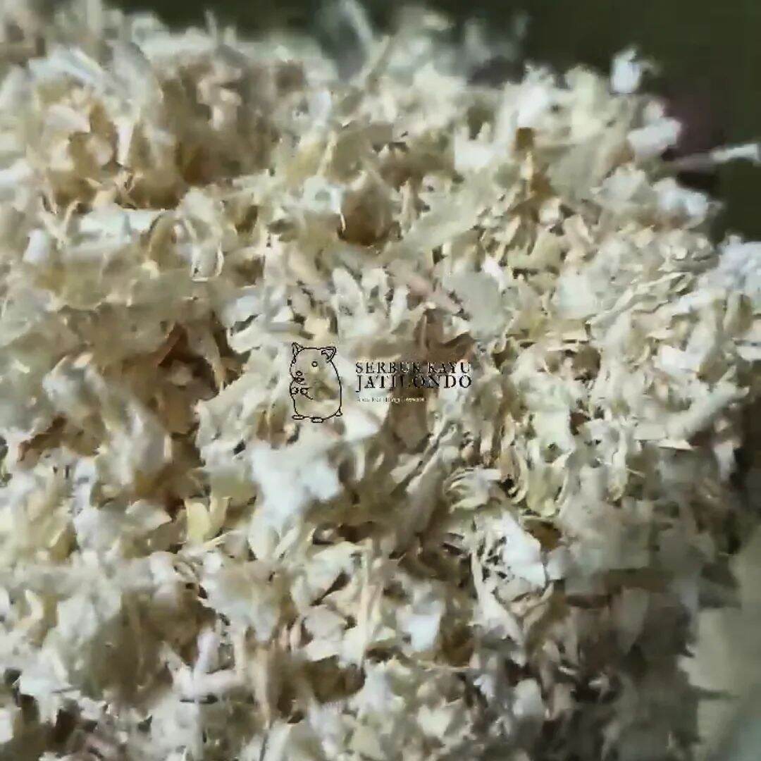 Serbuk kayu pinus buat alas kandang hamster 1kg | Lazada Indonesia