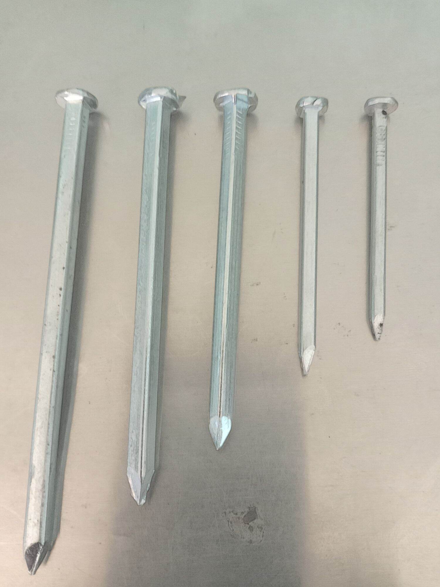 PAKU PUTIH PAKU KAPAL PAKU PERAHU 1 KG | Lazada Indonesia