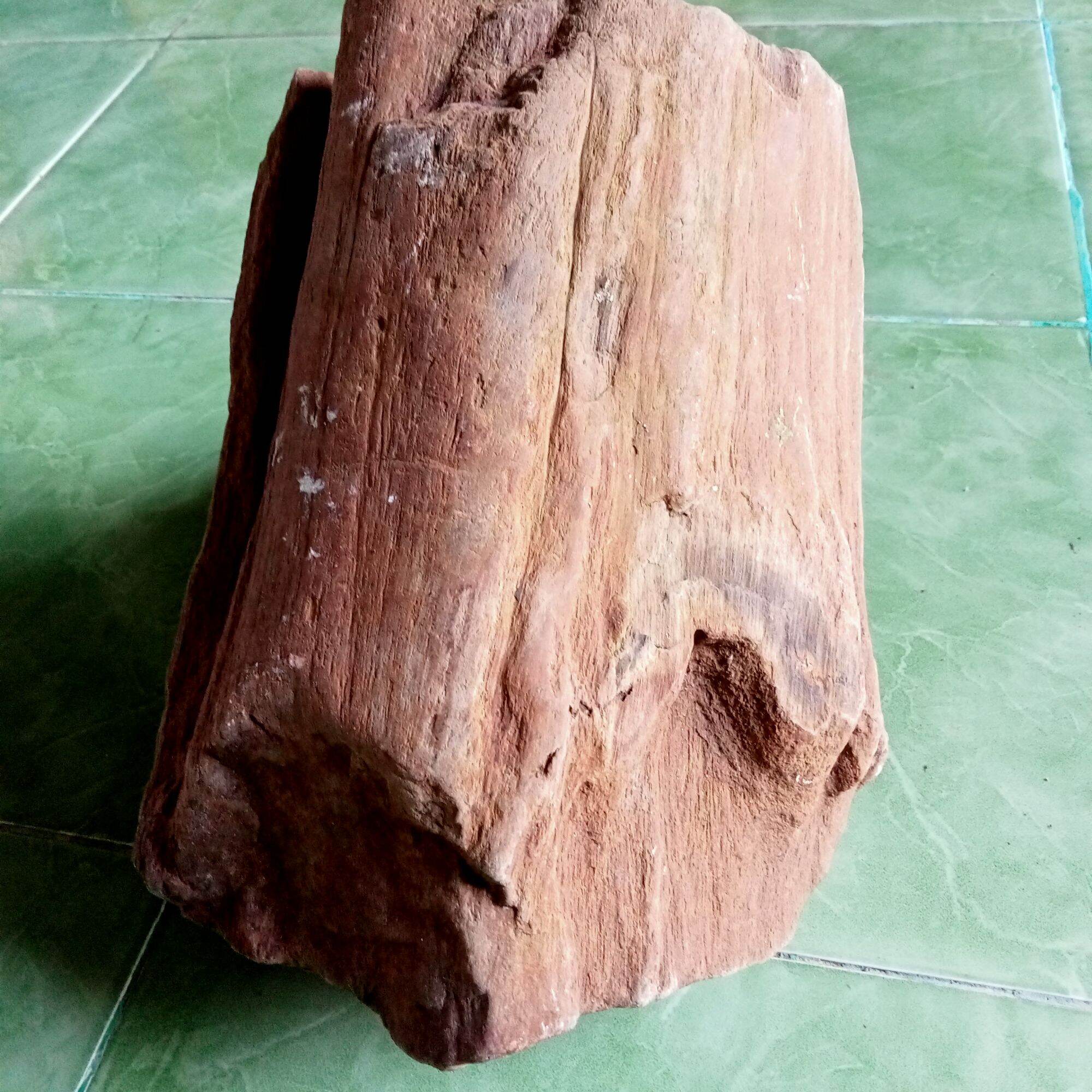 BATU ALAM,BATU FOSIL KAYU,BATU KAYU,BATU DUA WARNA COKLAT TUA& UNGU ...