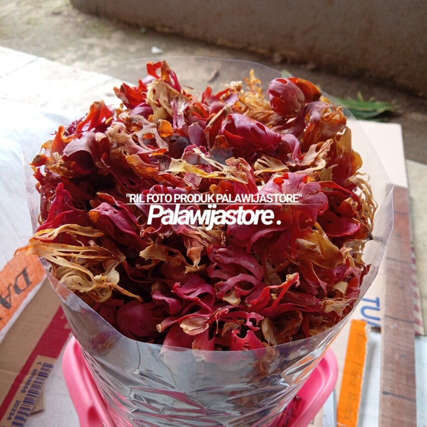 bunga pala kering 1 kg | Lazada Indonesia