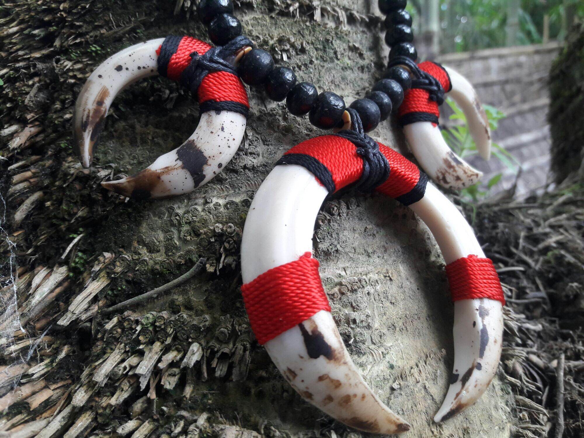 kalung taring babi etnik khas dayak | Lazada Indonesia