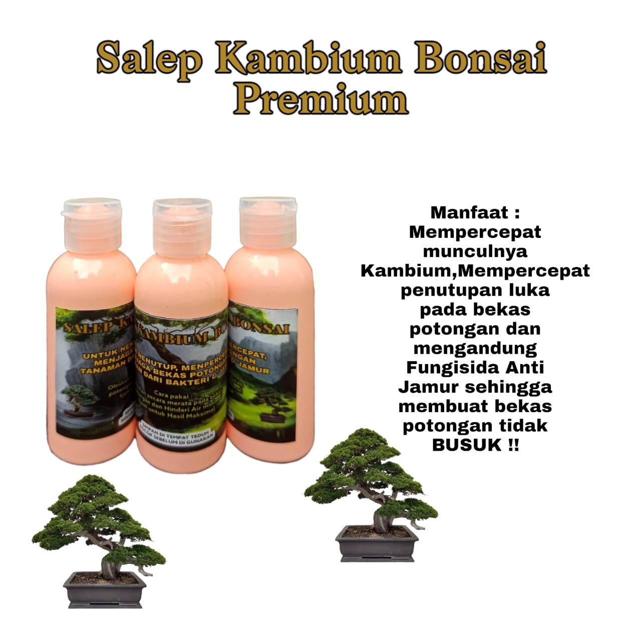 Salep Kambium Tanaman Bonsai Premium 60 ml | Lazada Indonesia