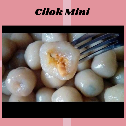 CILOK MINI ISI 100 RASA SAPI DAN AYAM KEMASAN VAKUM | Lazada Indonesia