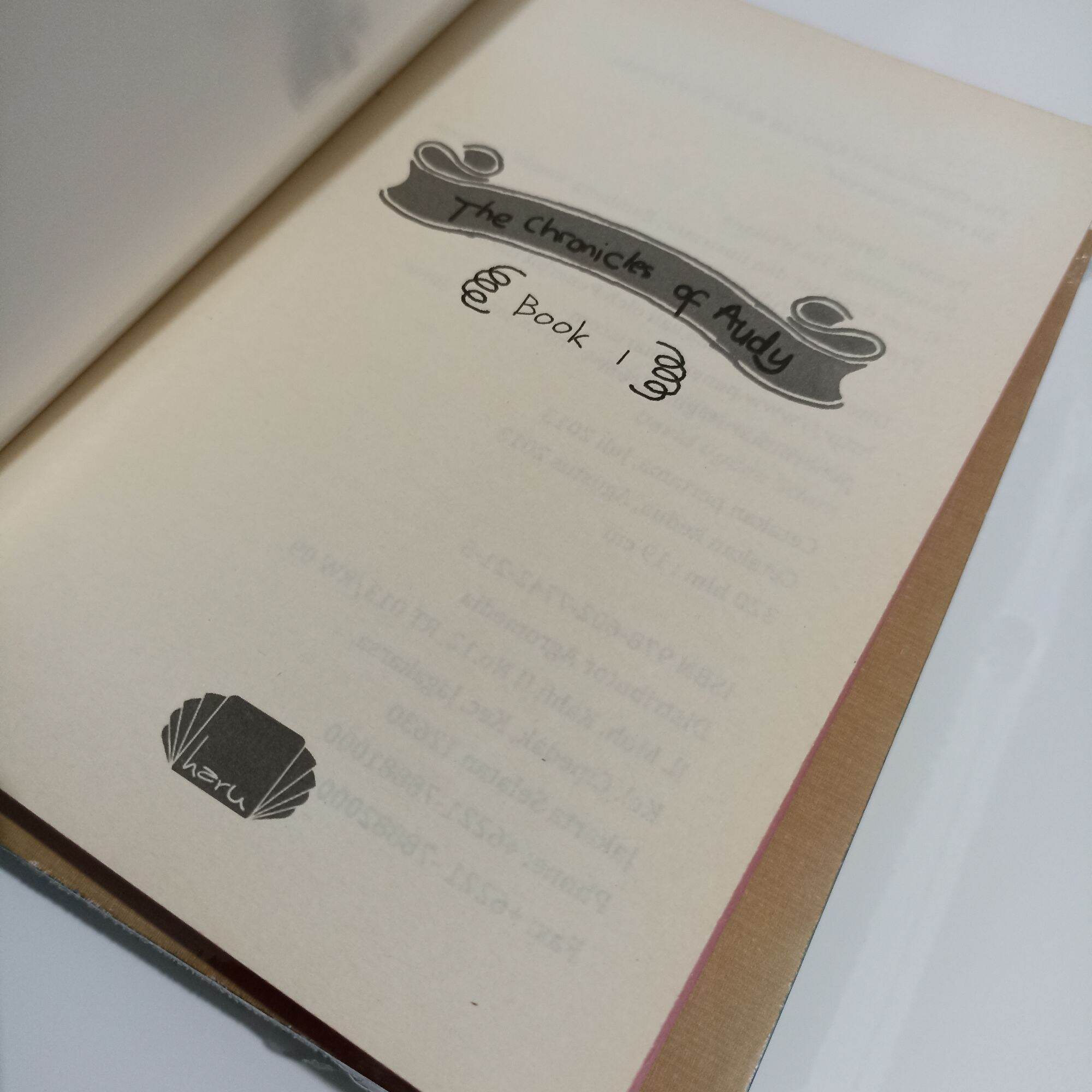 Novel The Chronicles Of Audy Series (4R, O2, 21) by Orizuka ORIGINAL ...