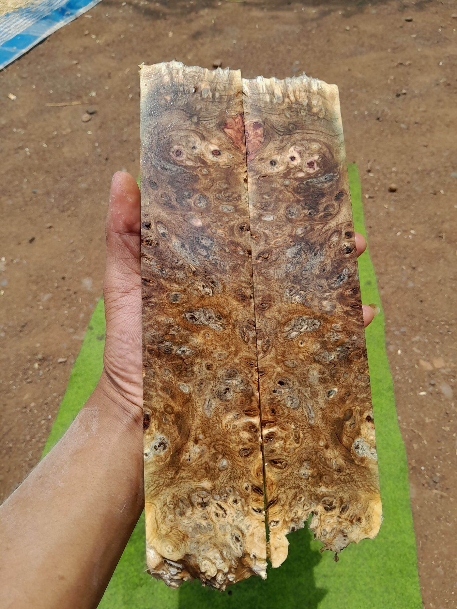 Kayu burl Indonesia Toko resmi di Indonesia, Online Shop 05 2025