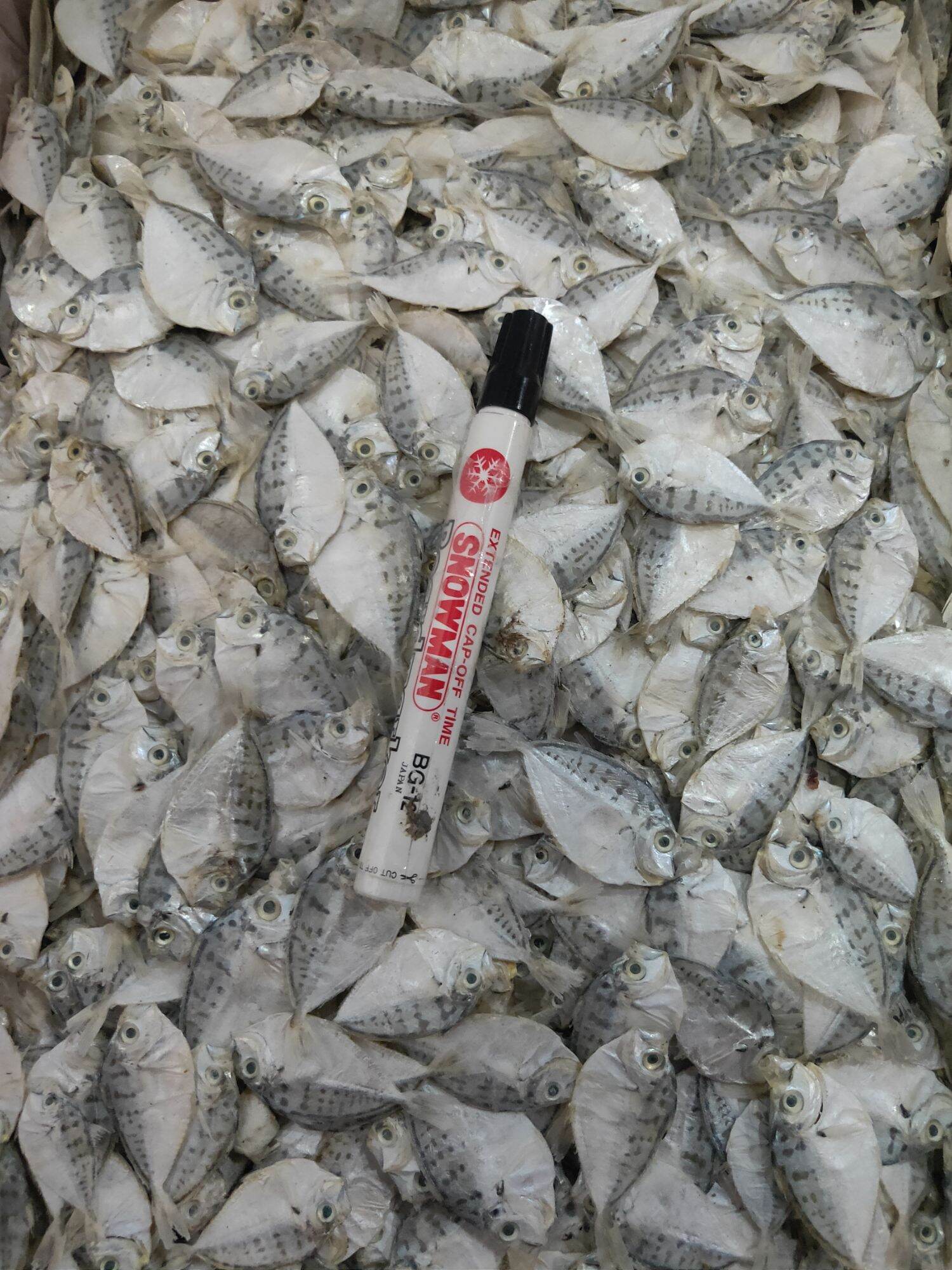 IKAN ASIN PIRIK KECIL ISI 1KG | Lazada Indonesia