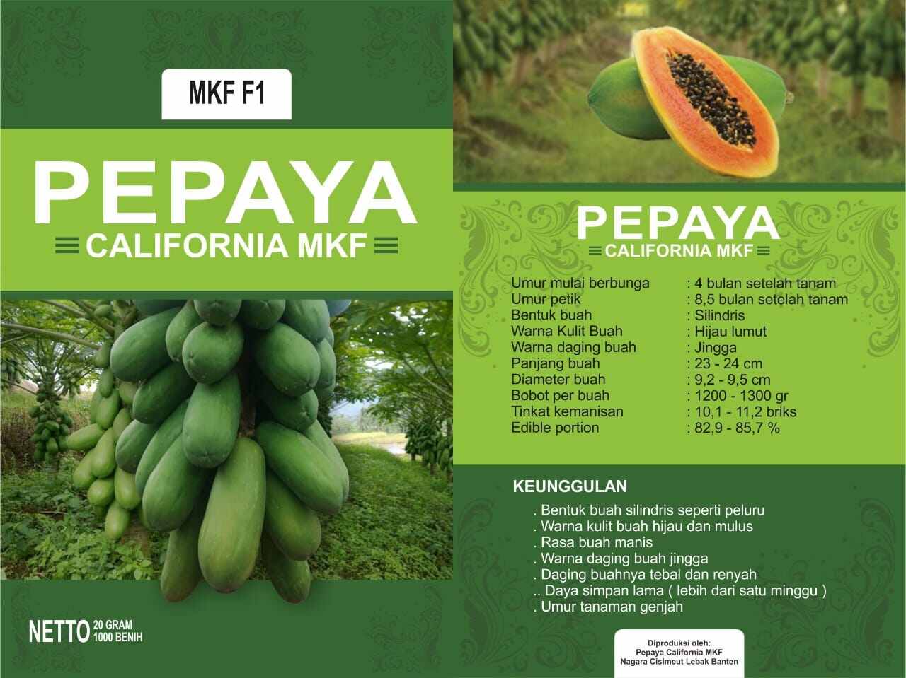 BIBIT PEPAYA CALIFORNIA MKF.F1 20 GRAM | Lazada Indonesia